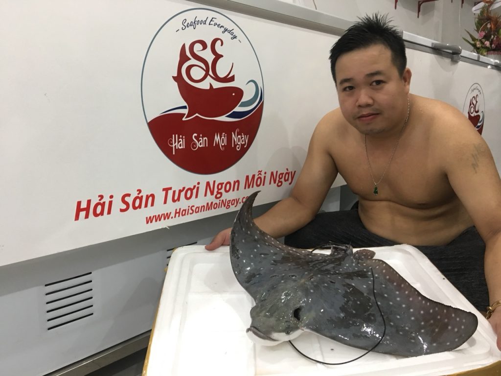 Cá Ó Sao | Hải Sản Mỗi Ngày